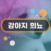 흥분하면 오줌 싸는 개 강아지 반가우면 오줌 지리는 흘리는 강아지 희뇨 네이버 블로그